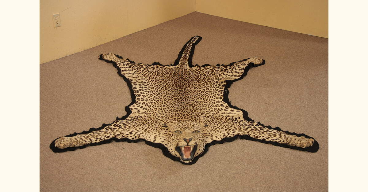 Leopard Skin Rug with Head