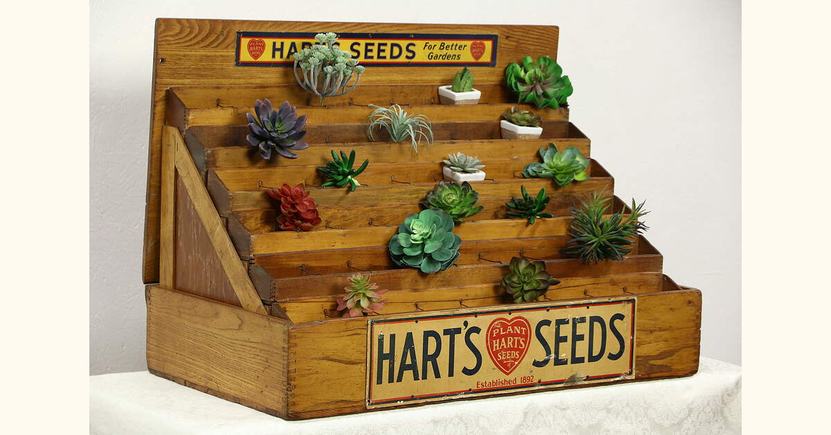 Hart Seed Display, Oak Case, Early 1900's Antique Advertising Chest