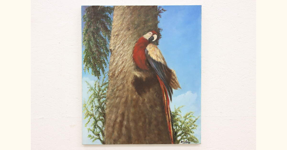 Scarlet Macaw Vintage Original Oil Painting, Signed 28"