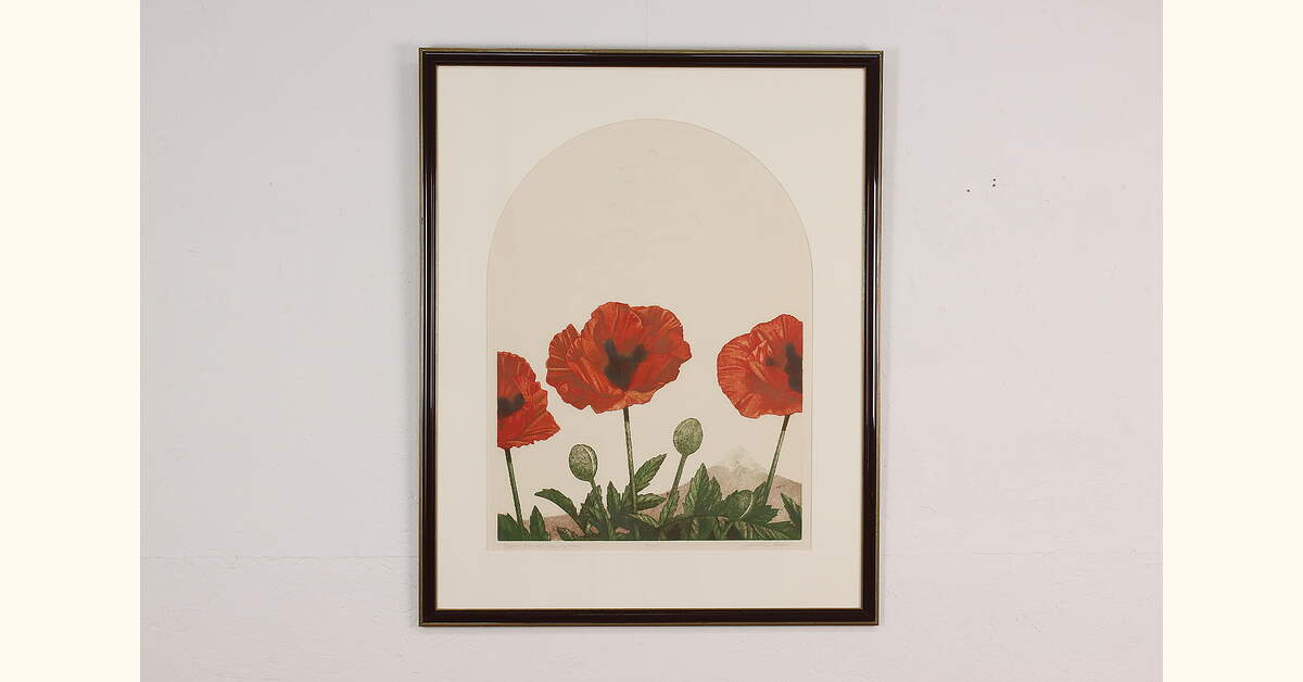 Oriental Poppy Vintage Original Etching, Whiteman 33.5"